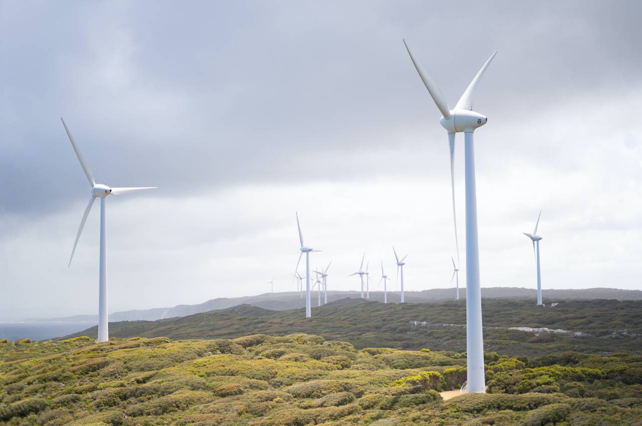 Turitea - Blackley Construction